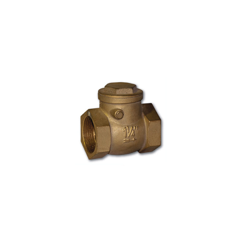 Brass Swing Check Valve PN16 Threaded - Valve Specialists
