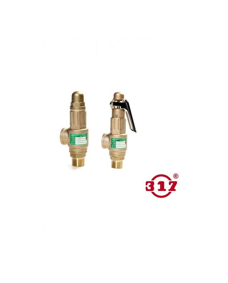 Bronze Safety Relief Valve, Bronze Trim, 10 Bar - Valve Specialists