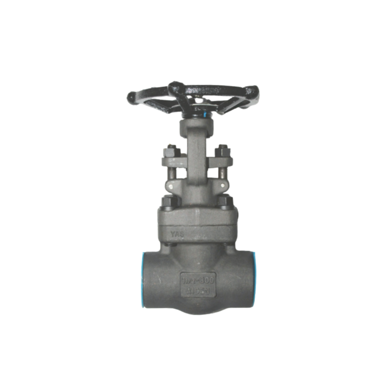 Gate Valves - Valve Specialists