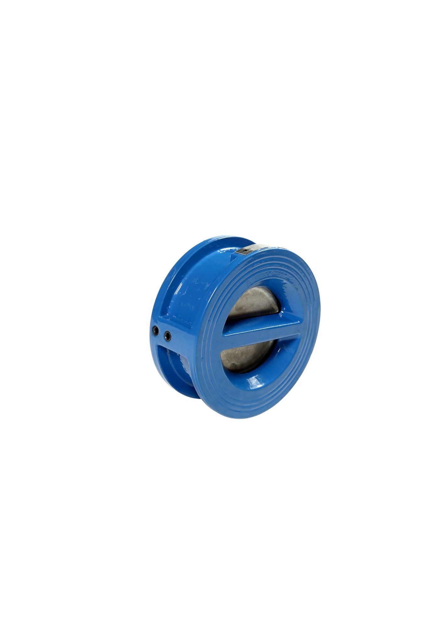 Cast Iron Double Door Wafer Swing Check Valve PN16 - Valve Specialists